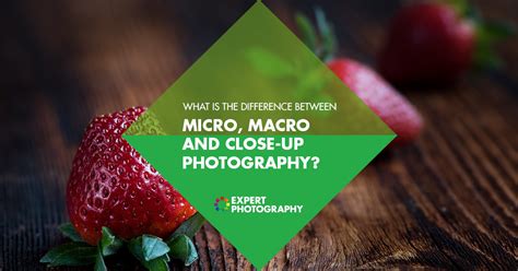 What Is The Difference Between Macro Micro And Close Up Photography