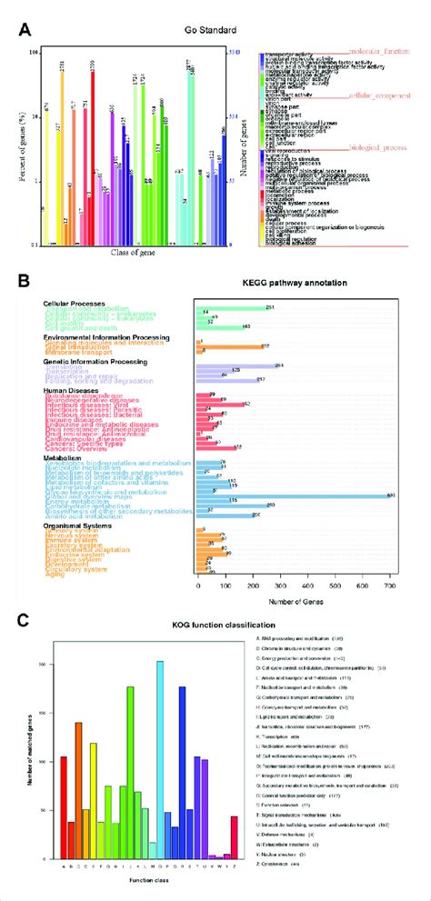 Different Public Database Gene Annotation Map Of Ma A Go Annotation