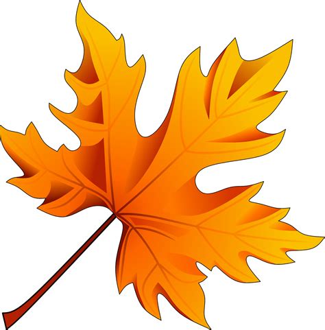 Autumn Maple Leaf Vector Illustration Maple Leaf Vector For Logo Icon Sign Symbol Business