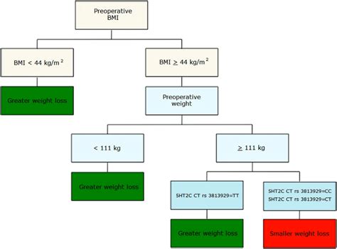 Decision Tree Single Nucleotide Polymorphism Body Mass Index And