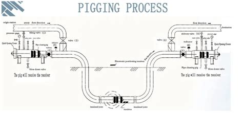 Pipeline Pig
