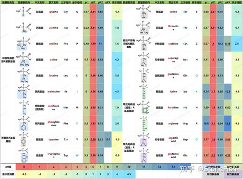 20种氨基酸的命名、分类和基本性质 知乎