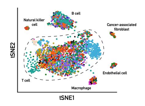 Metabolism Of The Tumor Microenvironment Nci