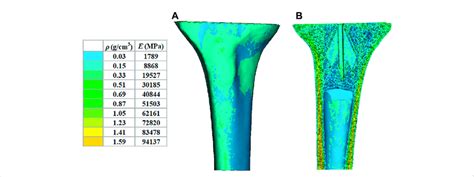 Material Properties Of The Inhomogeneous Tibia A External Material