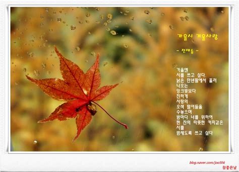 가을풍경 사진에 담은 가을 시 모음~ 네이버 블로그