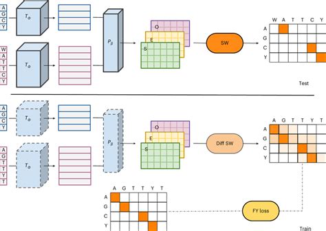 overview of dedal top at the test time dedal aligns two sequences x download scientific
