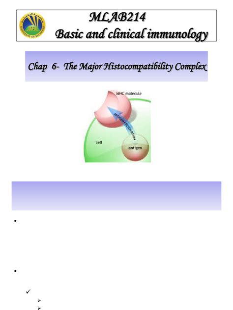 Chap 5a The Major Histocompatibility Complex Pdf Major