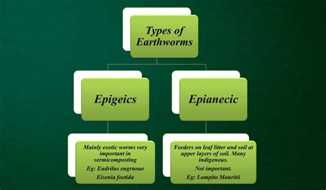 Vermicomposting Types Methods Advantages And Disadvantages Pdf Vermicomposting Types Methods Advantages And Disadvantages Pdf