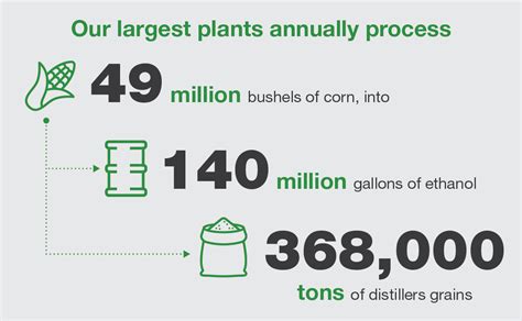 Ethanol Fermentation Process