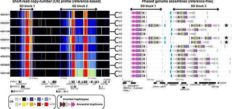 A 25 Year Odyssey Of Genomic Technology Advances And Structural Variant Discovery Cell