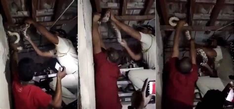 Mumbai Cop Heroically Rescues Huge Python From Dharavi