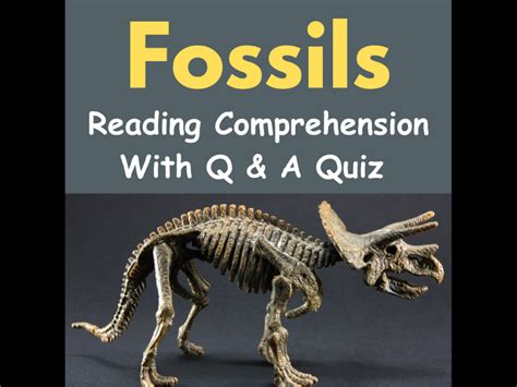 fossils reading comprehension questions with answers quiz test