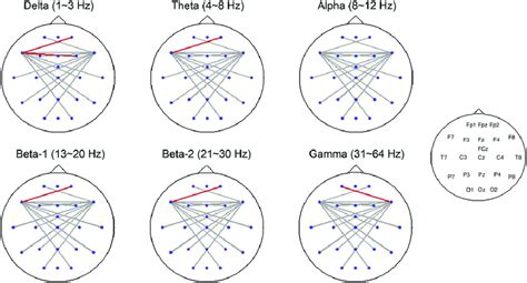 Topographical Representation Of Eeg Phase Synchrony Results For