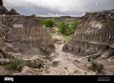 Dinosaur Provincial Park In Alberta Canada A Unesco World Heritage Site Noted For Its Striking