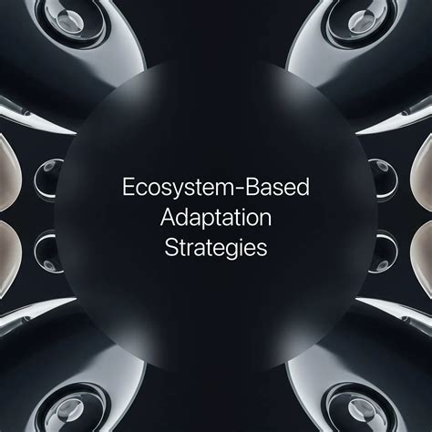 Ecosystem Based Adaptation Strategies → Term