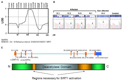 Description Of The Mutation A Whole Genome Microsatellite Linkage Download Scientific Diagram