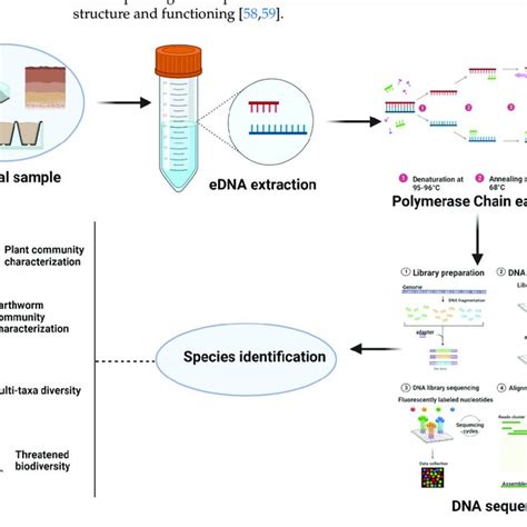 Environmental Dna In Terrestrial Ecosystems For Biodiversity Download Scientific Diagram