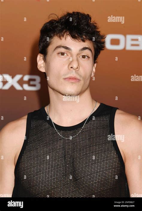 Los Angeles California February 16 Nicholas Cirillo Attends The Los Angeles Premiere Of