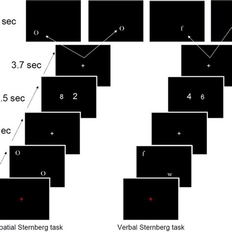 This Figure Depicts The Visual Spatial Left And Verbal Right Filled