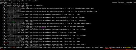 File Contains Data In An Unknown Format Issue CorentinJ Real Time Voice Cloning GitHub