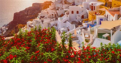 바다 위의 아름다운 일몰과 전경에 붉은 꽃이 있는 산토리니 섬의 그림 같은 이아 마을 사진 Unsplash의 꽃 이미지