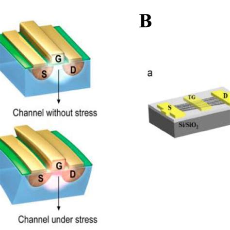 A Schematic Representation Of The Solution Gate Fet Biosensor Download Scientific Diagram