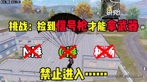 粉丝任务：捡到信号枪才能拿武器，禁止进入双港跟机场，我服了 皮皮怪吃鸡游戏解说 皮皮怪吃鸡游戏解说 哔哩哔哩视频