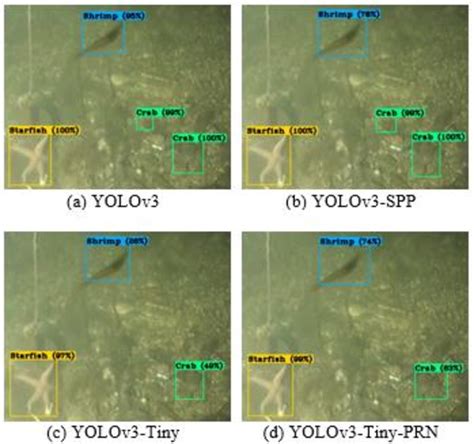 Figure 6 From Cnn Based Yolov3 Comparison For Underwater Object Detection Semantic Scholar