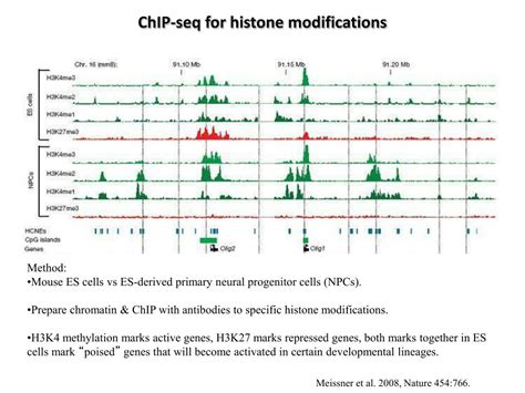 ppt chip seq data analysis powerpoint presentation free download