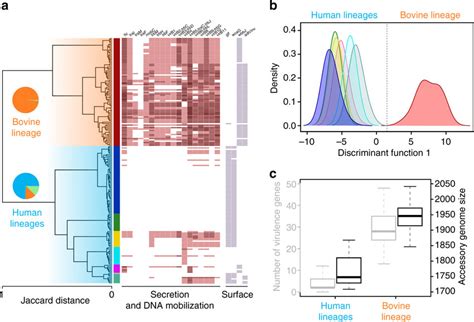 Accessory Genome Analysis A Hierarchical Clustering Based On Pairwise