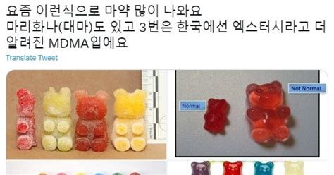 이렇게 생긴 사탕 조심 이태원 핼러윈 앞두고 마약주의보