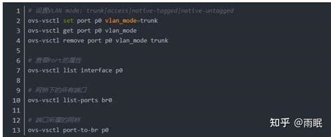 OVS 使用总结 知乎