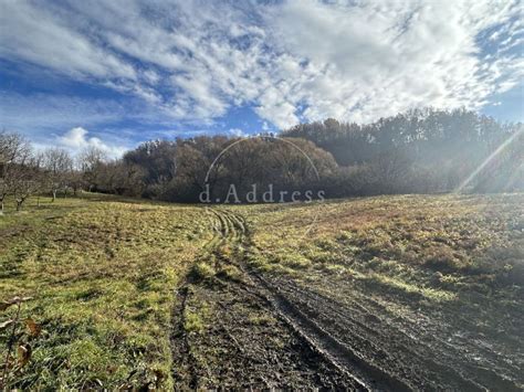 MarkuŠevec Poljoprivredno Zemljište