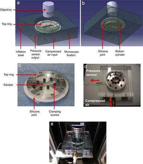 Figure 2 From Characterizing Liver Capsule Microstructure Via In Situ Bulge Test Coupled With