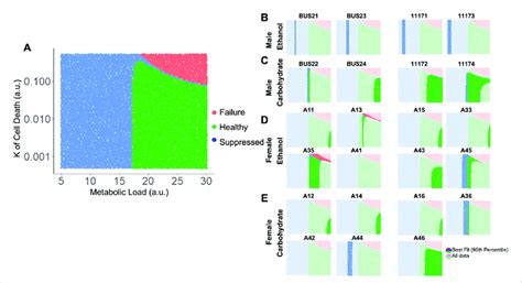 Matching Model Predicted Recovered Liver Volume Of Liver After 70 Phx Download Scientific