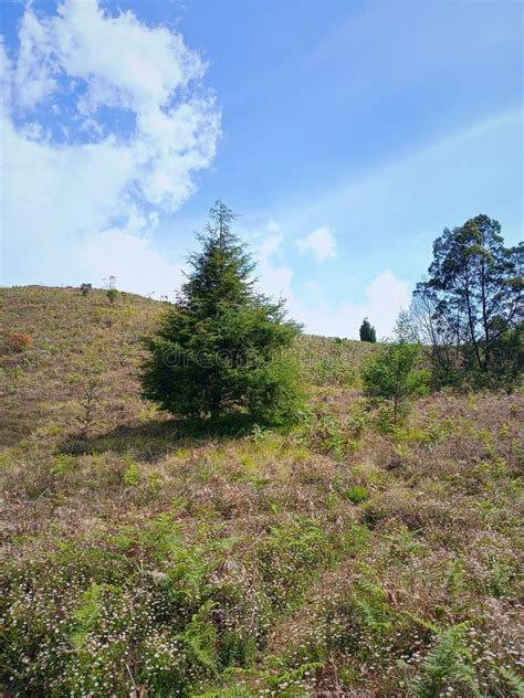 Scenic View Of Green Hilly Landscape In Java Stock Image Image Of