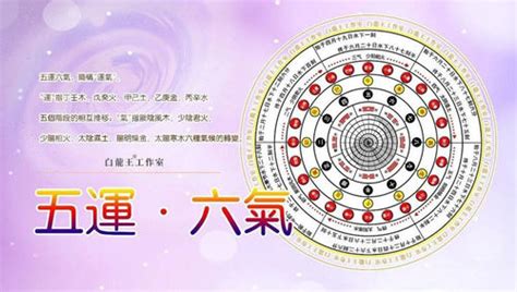 2025乙巳年五运六气金运不及 周易预测 风水大师许少锋