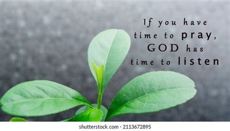 Prayer Wallpapers Quotes 200 Good Morning Messages For Friends For