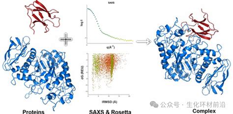 解析蛋白质结构的三大技术：同步辐射and冷冻电镜and核磁共振！ 华算科技