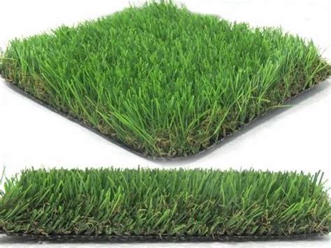 Artificial Grass Interior World
