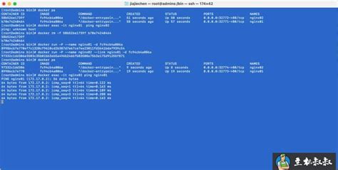 Docker自定义网络详细介绍 贝壳主机网
