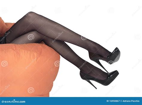 Legs Stock Image Image Of Beautiful Erotic Female 16950867