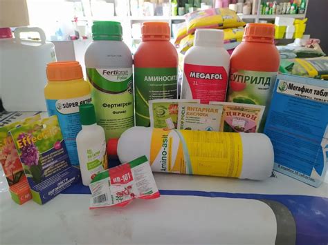 Агроаптека и ДДД услуги С какво пръскаме в овощната градина и лозето на есен Есенното пръскане