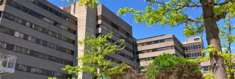 Additional Modules Dan Management Western University