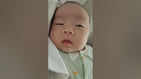 졸려요 빵빵이 신생아브이로그 아기 엔딩요정 宝贝儿 Youtube
