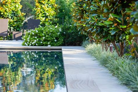 Peter Fudge Gardens The Mighty Magnolia Backyard Pool Landscaping