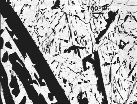 Sem Micrograph Of A Sample Containing Al And Ca Cast At 200µms 1