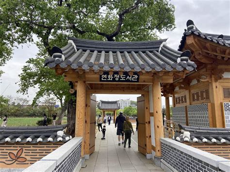 [전주] 연화정 도서관 전주여행 필수 코스 ㅣ덕진공원 강 한가운데에 있는 도서관 뷰 맛집