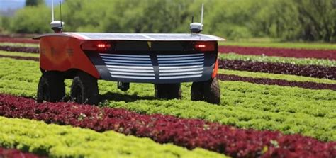 Cartesian Robot Importance Risks Applications And How Fast Is The Cartesian Robot Science