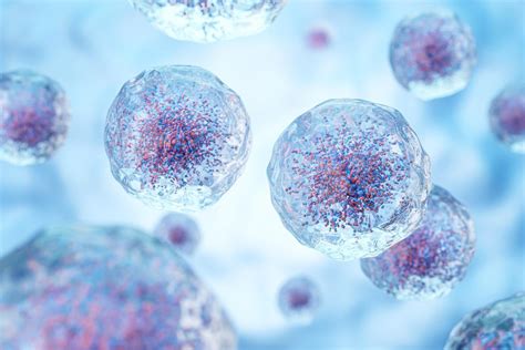 36 Facts About Adaptive Systems